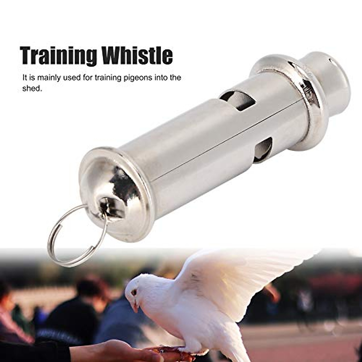 LZKW Pigeons Whistle, Silver Training Whistle, with Lanyard Mini Portable Anti‑Corrosion for Pigeons for Young Pigeons for Bird for Homing Pigeon