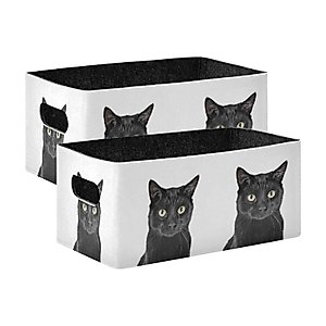 Emelivor Black Cat Storage Basket Bins Set (2pcs) Felt Collapsible Storage Bins with Handles Foldable Shelf Drawers Organizers Bins for Office Bedroom Closet Babies Nursery Toys DVD Laundry