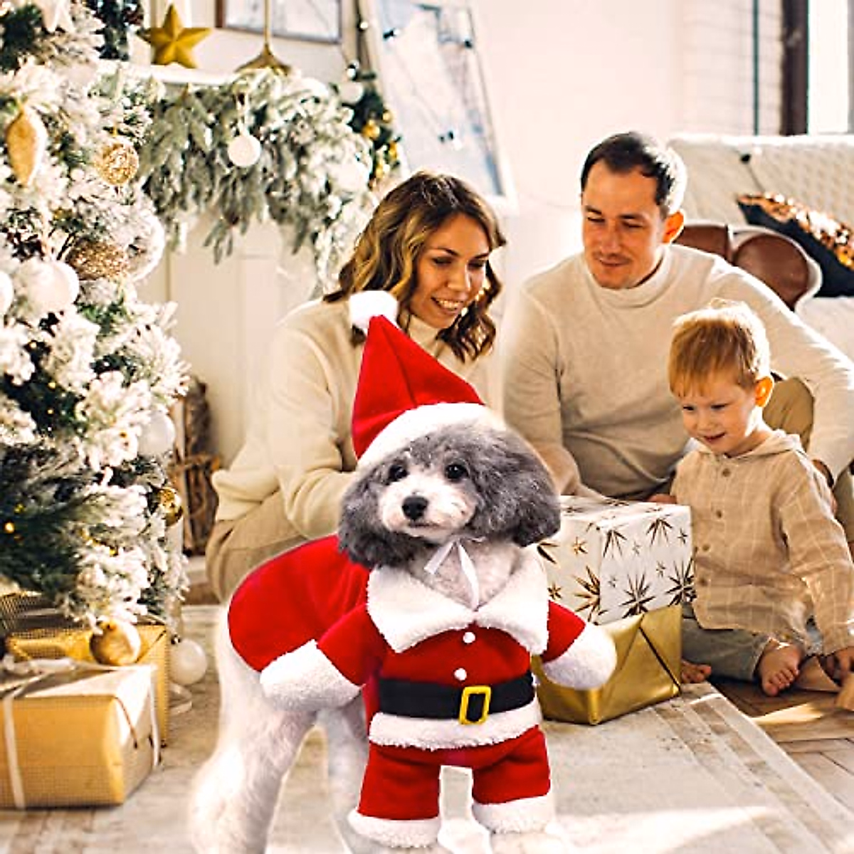 QETRABONE Small Santa Dog Cat Costume Christmas Pet Clothes Outfits Red Christmas Santa Claus Hat Scarf Cosplay Dressing up Xmas Party New Year Clothing Accessories for Small Cat Dog (XS-small, Santa)