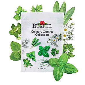 Burpee Culinary Classics Garden Collection 10 Packets of Non-GMO Chives, Cilantro, Basil, Sage, Thyme, Dill, Parsley, Chamomile, Marjoram & Oregano | Kitchen Herb Variety Pack, Seeds for Planting