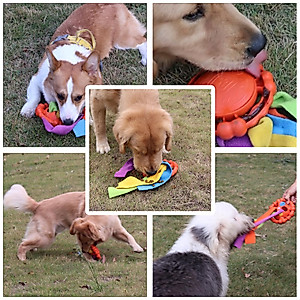 OUQEEING Dog Chew Toys with Beef Flavor Bite Resistant Toys Hidden Food Cloth Strips for Medium, Large Dog Interactive Trainning Treat,Durable Hard Toys for Aggressive Chewers,Teeth Cleanning