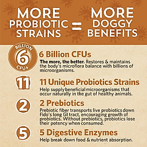 Fidobiotics Good Guts for Medium Mutts Probiotic for Dogs, 6 Billion CFUs, 11 Strains, 5 Digestive Enzymes, 2 Prebiotics, Digestive Gut Health for Dogs, Adult & Puppy Probiotics Supplements (30 Days)