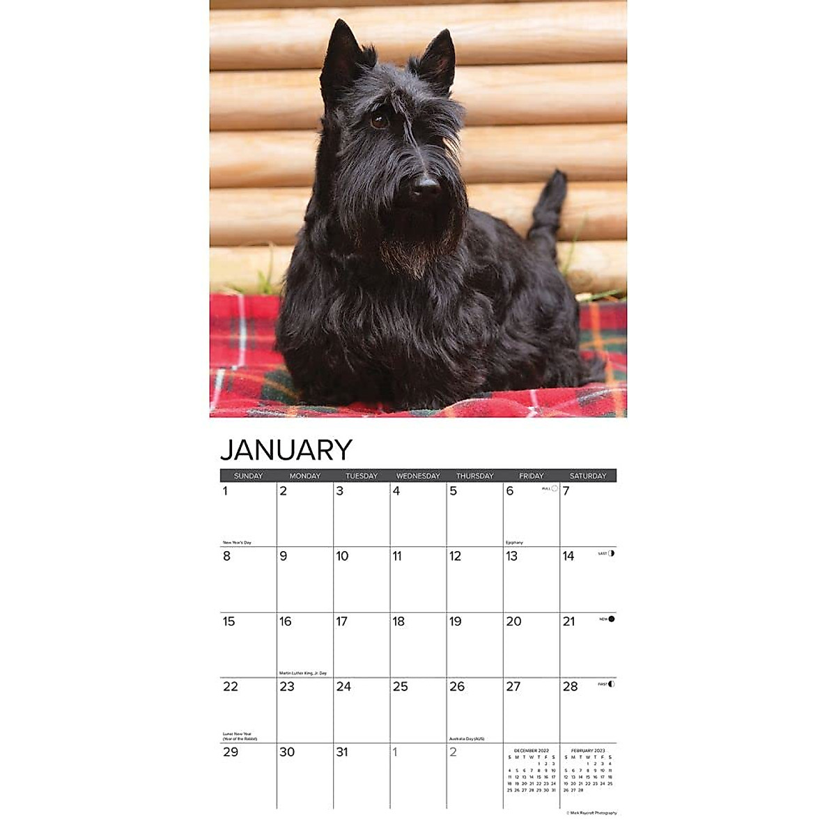 Just Scotties 2023 Wall Calendar