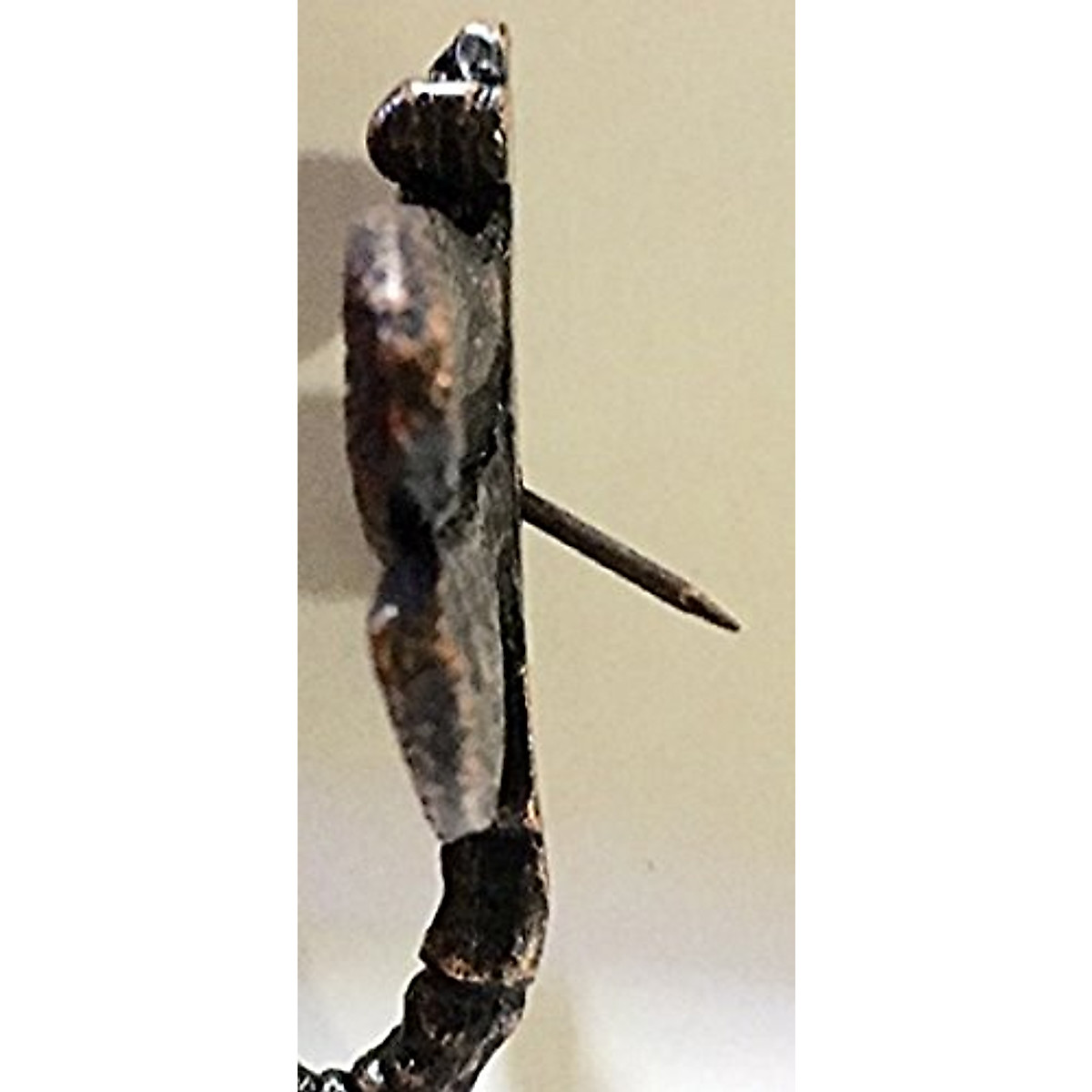 Large Dragonfly Hook Oil Rubbed Bronze HK-608ORB