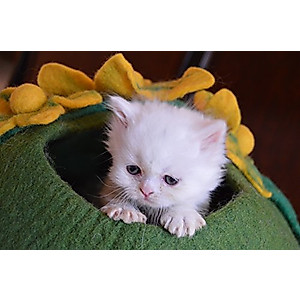Earthtone Solutions Cat Cave Bed, Unique Green Handmade Felted Wool, Large Covered and Cozy, Also Perfect for Kittens, Original Cat Caves, (Emerald Haven)