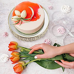 TRSPCWR Cake Stand, Gold Mirror Round Dessert Stand, 10inch Wedding Dessert Display Cake Stands, Metal Cake Plate Decor for Wedding Birthday Party