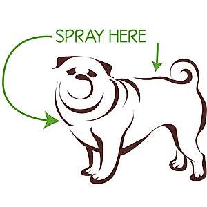 Showseason Home Alone Pet Calming Spray 2.5 oz for Dogs | Travel Size | Cruelty-Free | Paraben-Free | Biodegradable and Non-Toxic | Made in The USA