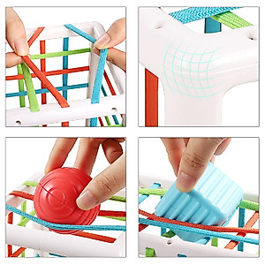 Tiyol Shape Sorter One Year Old Toys, Developmental Montessori Learning, Storage Cube Bin & 6 Sensory Shape Blocks, Fine Motor Skills, Birthday Gifts Toddler Boy Girl Age 1 2 3 (+6 Ocean Balls)