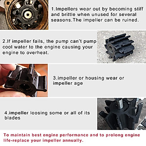 BDFHYK 63D-W0078-01 Water Pump Impeller Repair Kit for Yamaha 40HP 50HP 60HP, Replaces 63D-W0078-01-00 Sierra 18-3434