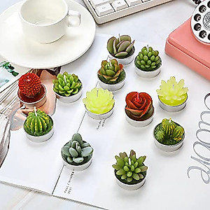 LJQizn 12pcs Cactus Tealight Candles Handmade Delicate Succulent Cactus Candles Tea Lights Perfect for Birthday Party Wedding Spa Home Decor Gifts (12pcs Cactus Candles)