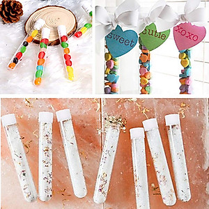 50Pcs Clear Plastic Test Tubes with Rack,16x100mm(10ml) Test Tube with Caps and 50 Holes Tubes Rack for Scientific Experiments,Party,Decorate The House,Candy Storage