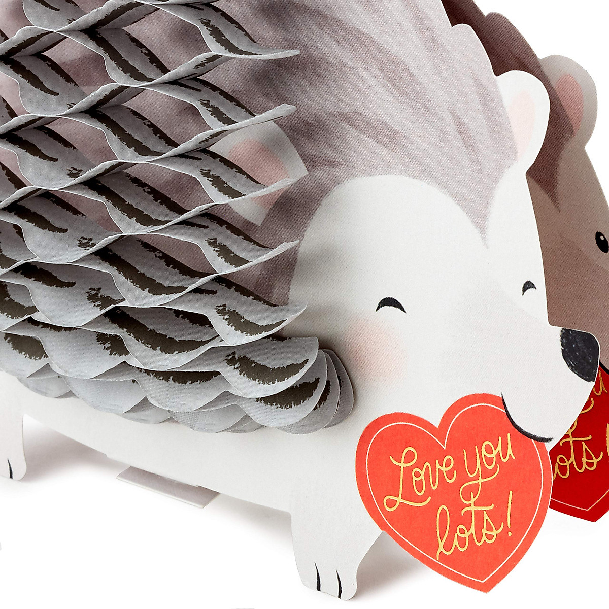 Hallmark Paper Wonder Pop Up Valentines Day Card (Honeycomb Hedgehog)