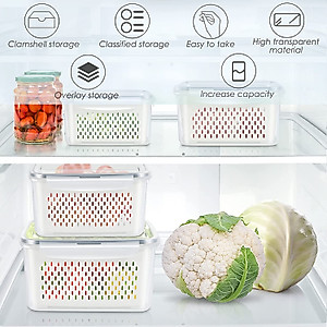Fruit Storage Containers For Fridge,Fridge Organizers and Storage Include Drain Baskets & Lid,Food Storage Containers for Salad Berry Lettuce Food Meat Fish Celery