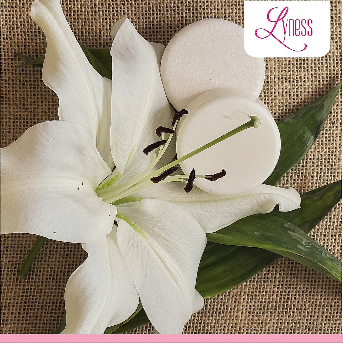 Lyness Coconut Vanilla Shampoo Bars x 2 | Plastic-free and Travel Friendly | Rich Lather | Clean Ingredients