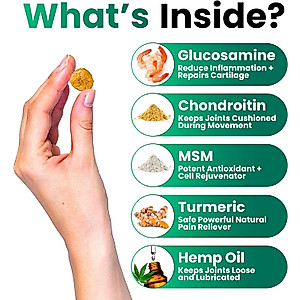 (2 Pack) Hemp Hip and Joint Supplement for Dogs - Glucosamine for Dogs - 340 Dog Joint Pain Relief Treats - Chondroitin, MSM, Hemp Oil - Advanced Dog Joint Supplement Health - Mobility Support Chews