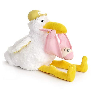 A Special Delivery New Baby Girl Gift Basket, New Baby Gift for Girl, Baby Girl Gift.