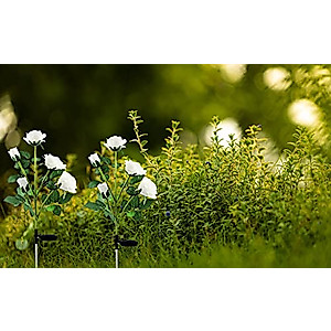 Rockabyee 2 Pack Solar Rose Flower Lights, Solar Rose Stake Lights Outdoor Waterproof for Garden, Patio, Lawn, Yard, Party, Wedding (White)