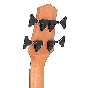 Gold Tone M-BassFL 23-Inch Scale Fretless Acoustic-Electric MicroBass with Gig Bag