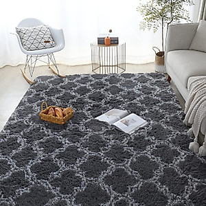 Poboton 2X3 Grey Carpet for Living Room Soft Luxury Bedroom Large Fluffy Plush Area Rug Shaggy Big Comfy Carpet