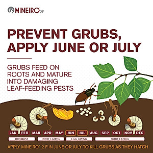 Mineiro 2F Imidacloprid Systemic Insecticide (1 Gal) by Atticus (Equivalent to The Leading Brand) – Grub and Insect Control in Lawns and Landscapes