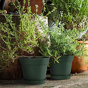 homenote Plant Pots,15 Pack 6 inch Flower Pots with Multiple Drainage Holes and Saucers,Plastic Planters for All Home Garden Flowers Succulents(Green)