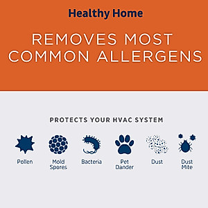 Aprilaire 413 Replacement Air Filter for Aprilaire Whole Home Air Purifiers, Healthy Home Allergy Filter, MERV 13 (Pack of 2) + 35 Replacement Water Panel for Aprilaire Whole House Humidifier Models