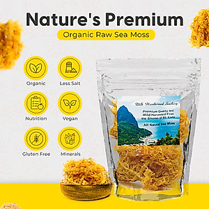 Certified Wild Harvested Gold Irish raw Sea Moss from St.Lucia,Makes 165 oz gel, Dr.Sebi Grade,Wild Harvested Powerful Antioxidants,Vitamins,Minerals and Nutrients All Natural,4 Ounce (Pack of 1)
