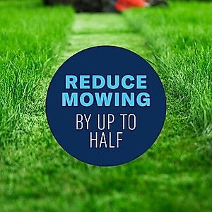 BioAdvanced Slow Mow Lawn Conditioner, Granules, 10.4 lb