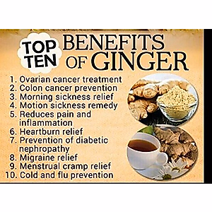 JAMAICAN GINGER - Zingiber officinale-Grow Your own,Grow Indoors or Outdoors(1 Pound)