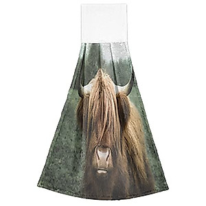 Exnundod Longhorn Cow Cattle Meadow Kitchen Towels Set of 2, Grassland Animal Hand Towel Microfiber Dish Towel with Hanging Loop Soft Absorbent Washcloth for Bathroom Laundry Room Household Use