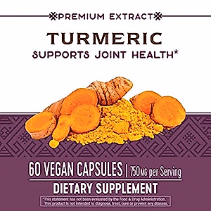 Nature's Way Premium Extract Turmeric Max Potency Standardized to 95% Curcuminoids 750 mg per serving 60 VCaps
