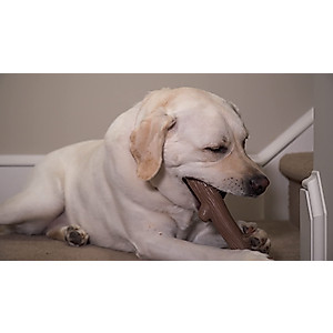 Hero Bonetics Stick, Wood Scent Chewable Dog Toy, Gentle on Teeth & Tummy