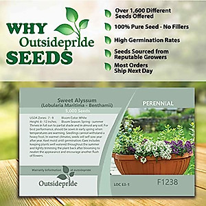 Outsidepride Lobularia Maritima Alyssum Sweet Drought & Heat Tolerant Wild Flowers - 5000 Seeds