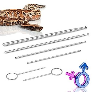 Antidious Snake Probes Kit，Snake Sexing Probing Gender Probes with Round Tip and Naturally Hypoallergenic Metal, Snake Gender Probes Tool Let You Know if You Snake is Boy or Girl.