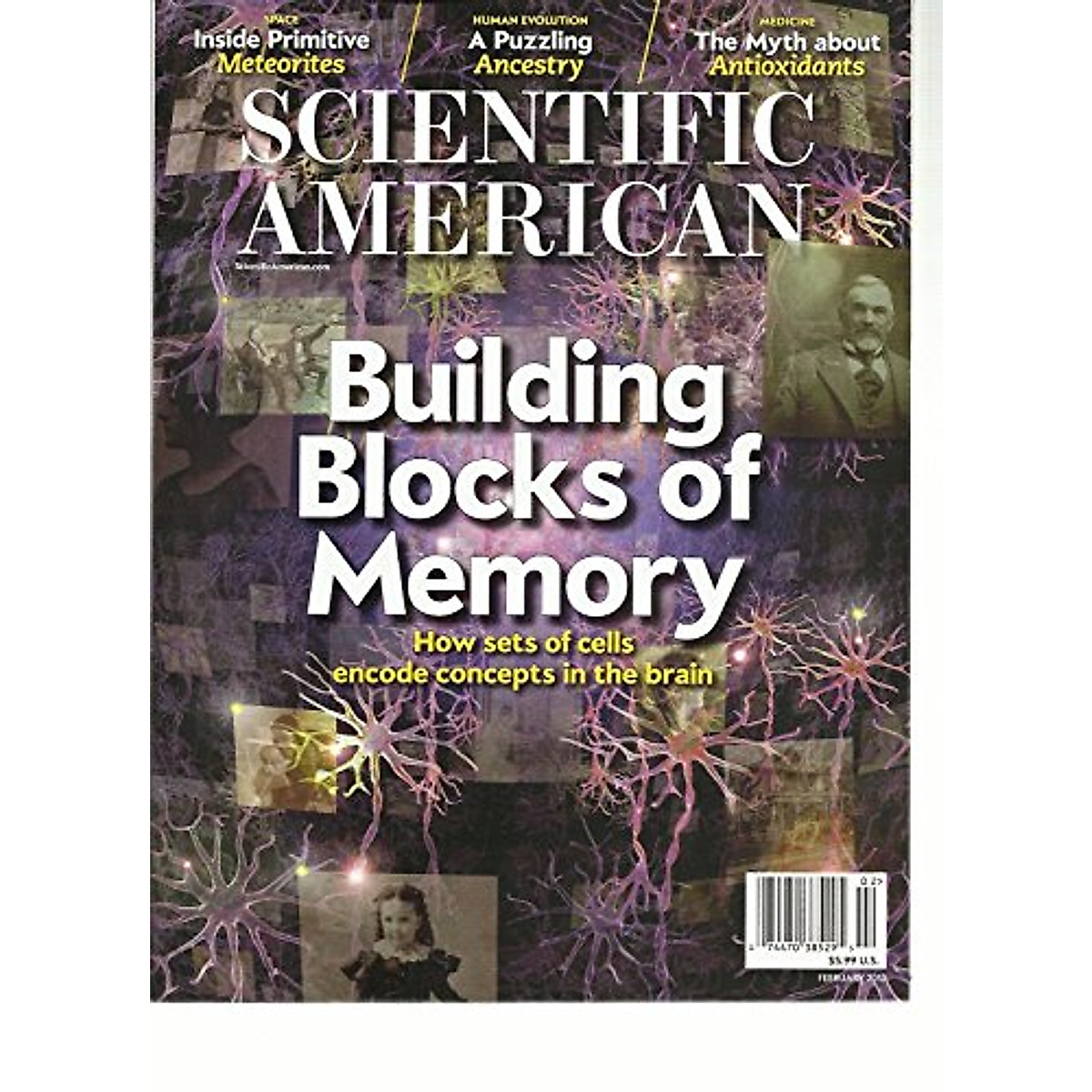 SCIENTIFIC AMERICAN, FEBRUARY, 2013 (BUILDING BLOCKS OF MEMORY)