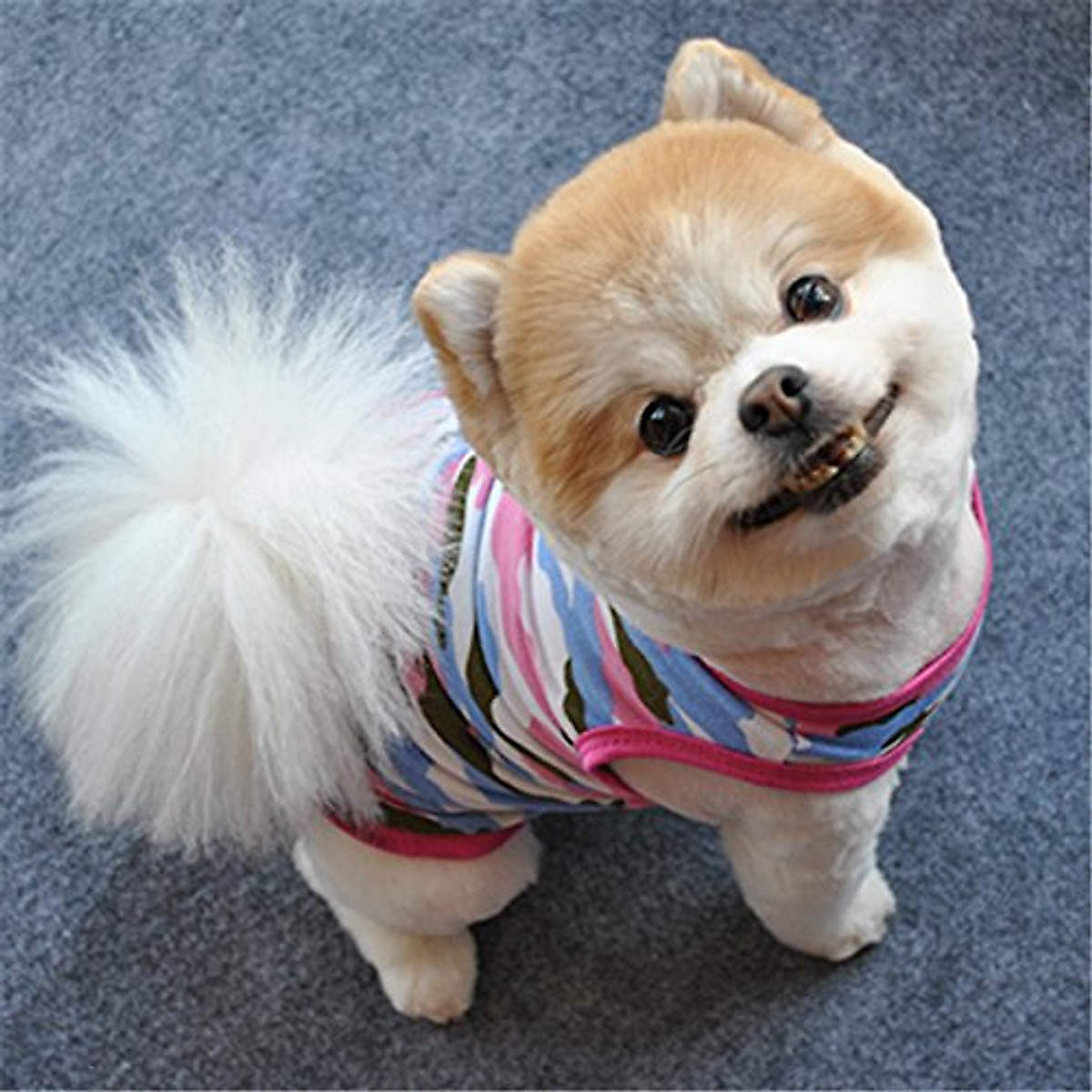 Dog Camouflage Cute Small Vest Puppy Appar Dog Shirt Summer Pet Clothes Outfit Vest Easy on Puppy Boy Girl Shirts