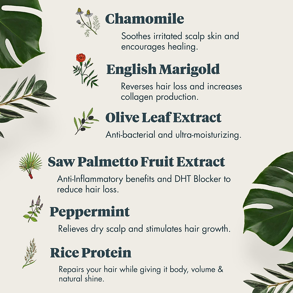 Reviv3 Procare Prime Moisture & Hair Conditioner – Color Safe Conditioner for Healthy Scalp – Volumizing Conditioner Reduces Breakage & Control Fizziness – Hair Care Products for Women (25.4 oz)