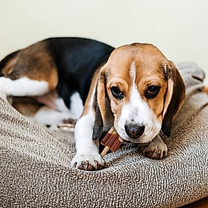 SPOT Pup Ice- Ready to Freeze at Home Dog Treats-Edible Chews for Medium Breed Dogs & Puppies with Real Chicken to Keep Your Pup Cool Year Round, Rocket Lollies Banana and Chocolate Flavor, 2pcs