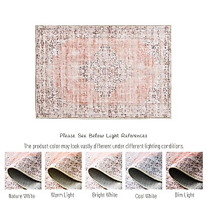 Alwoligag Washable Vintage Rug 2x3 Entrance Rug Non-Slip Indoor Doormat, Bedroom Kitchen Entrance Bathroom Boho Small Rugs (Pink Rug)