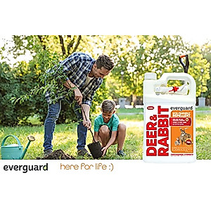 Everguard 1gal. Ready to Spray Deer & Rabbit Repellent