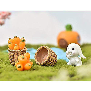 HoneyToys Resin Mini Rabbits Mini Carrot with Basket, Miniature Figurines, Fairy Garden Accessories, Fairy Garden Supplies, Fairy Garden Animals for Fairy Garden, Plant Pots, Bonsai Craft Decor