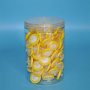 20 Count Syringe Filter (PES-25mm 0.22um)