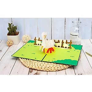 Ribbli Llama Handmade 3D Pop Up Card for All Occasion, Birthday Card, Thanksgiving Card, Christmas Card, Animal Card, Llama Gifts for Men Women Kids, with Envelope