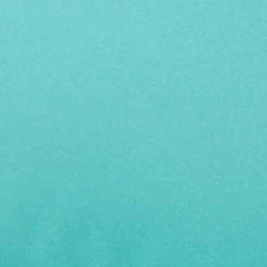 Sunshine Outdoor Green Outdoor Deep Seat Patio Cushions 24x24 inch Patio Furniture Cushions,Fade Resistant, Deep Seat Bottom and Back Cushion for Chair, Sofa and Couch,2 Sets