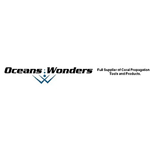 Oceans Wonders Ceramic Hawaiian Black Coral Frag Plugs 30 Pack