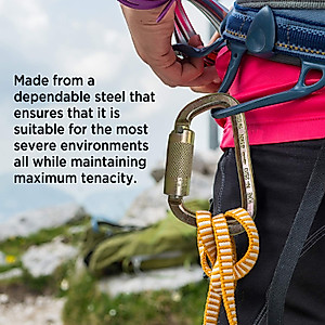 AFP Twist-Locking D-Steel High-Strength Carabiner w/Pin, ANSI & OSHA Compliant (1)