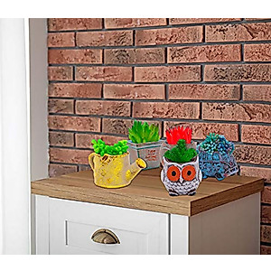 CHENP.HMC Planters Set of 5 Ceramic Succulent Planter Pot with Drainage,Planting Pot Flower Pots,Small Planter Pots for Garden,Cactu,Succulent Pot(Plants Not Included)…