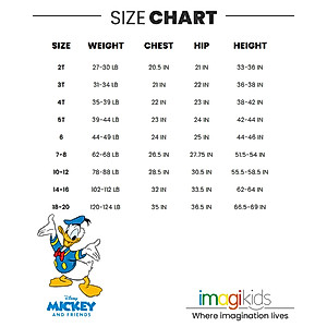 Disney Mickey Mouse Donald Duck Toddler Boys Fleece Hoodie Blue/White 5T