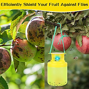 Outdoor Fly Trap, Fly Traps Outdoor Hanging Solar Powered Reusable Indoor Non-Toxic Flying Insects Killer for Indoor Outdoor Patio Garden Home