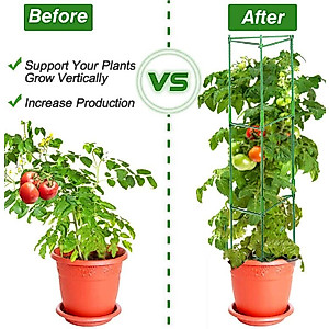 4ft 3-Pack Tomato Cage for Garden Plant Cages, Up to 48inch Plant Supports Tomato Trellis Stakes for Potted Plants, Heavy Duty Tomato Cages Cucumber Trellis for Garden Vertical Climbing Plants Flowers